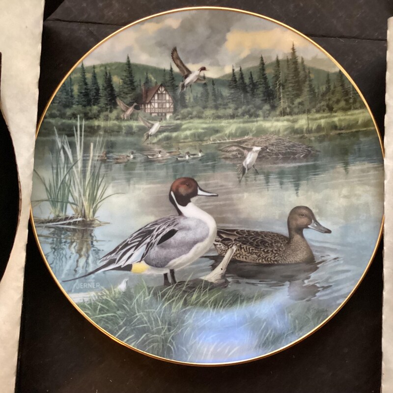 Collectors Plate - Etsy