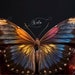 10 Digital Backdrops,real Butterfly Wings,multi Color Wings,kids ...