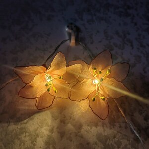 Pink Lily Fairy Lights – Romantic Bedroom and Balcony String Lights ...