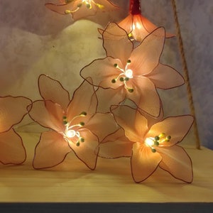 Pink Lily Fairy Lights – Romantic Bedroom and Balcony String Lights ...