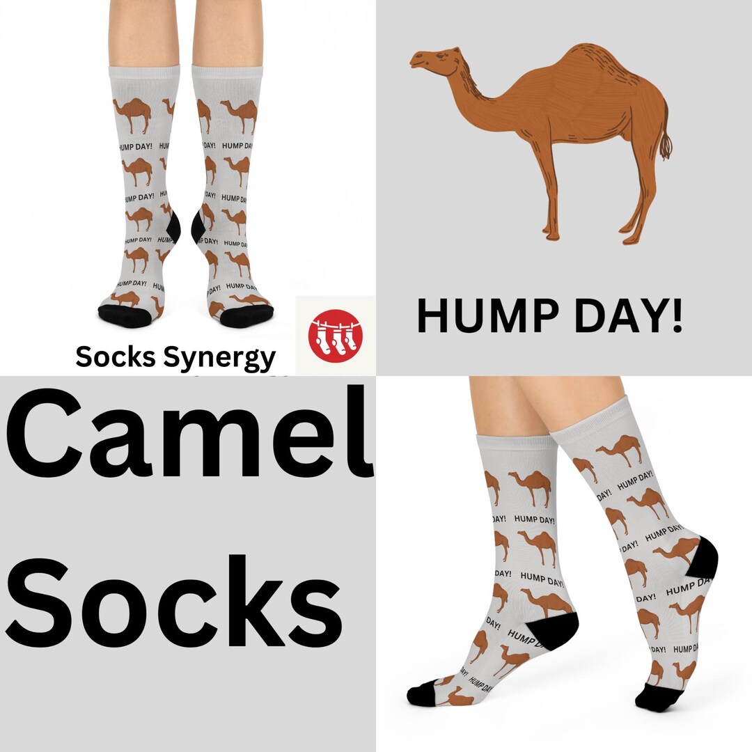 Hump Day! Camel Socks Custom Wednesday Fun Cool Trendy Gift Present ...