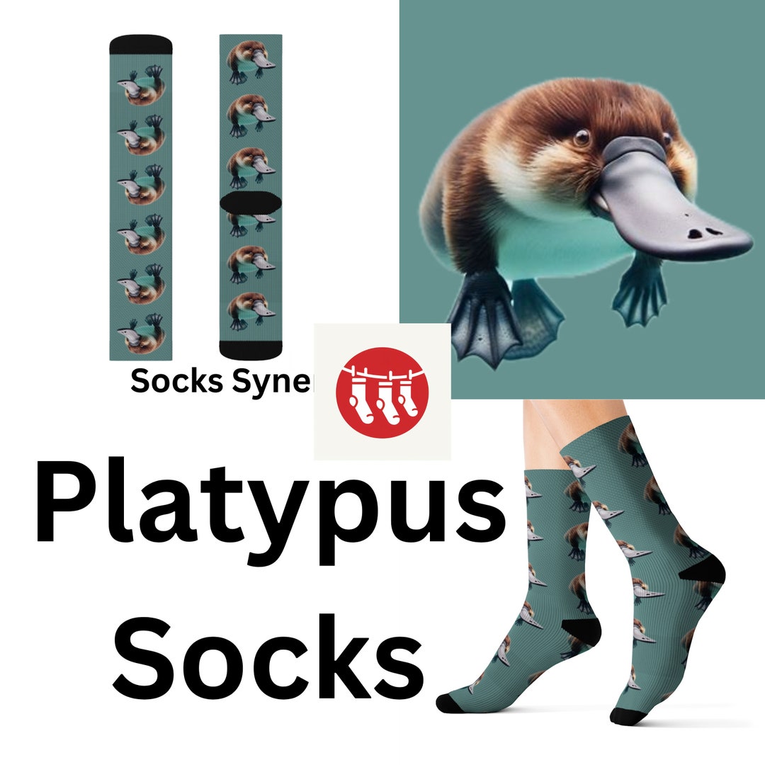TOP SELLER Platypus Socks Custom Animal Fun Cool Trendy Gift Present ...