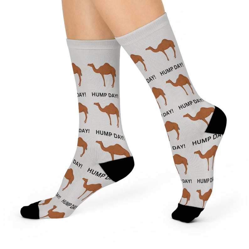 Hump Day! Camel Socks Custom Wednesday Fun Cool Trendy Gift Present ...