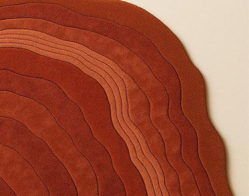 Abstract Hand-tufted Rug –freeform Amoeba Shape in Earthy Rust Tones ...