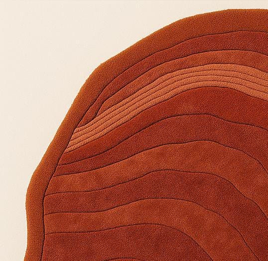 Abstract Hand-tufted Rug –freeform Amoeba Shape in Earthy Rust Tones ...