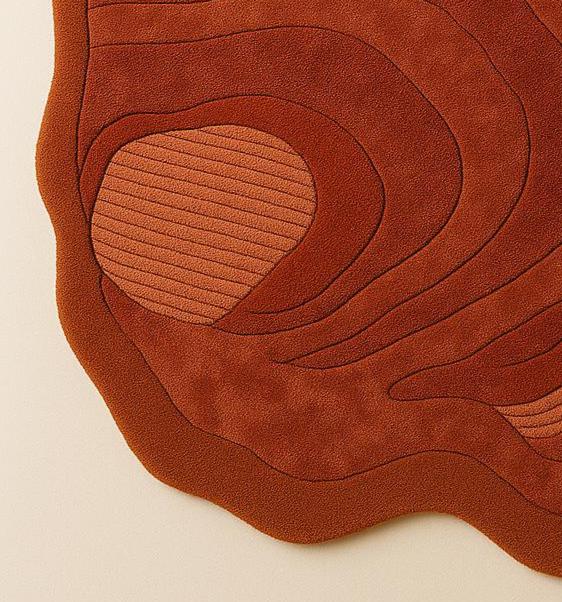 Abstract Hand-tufted Rug –freeform Amoeba Shape in Earthy Rust Tones ...