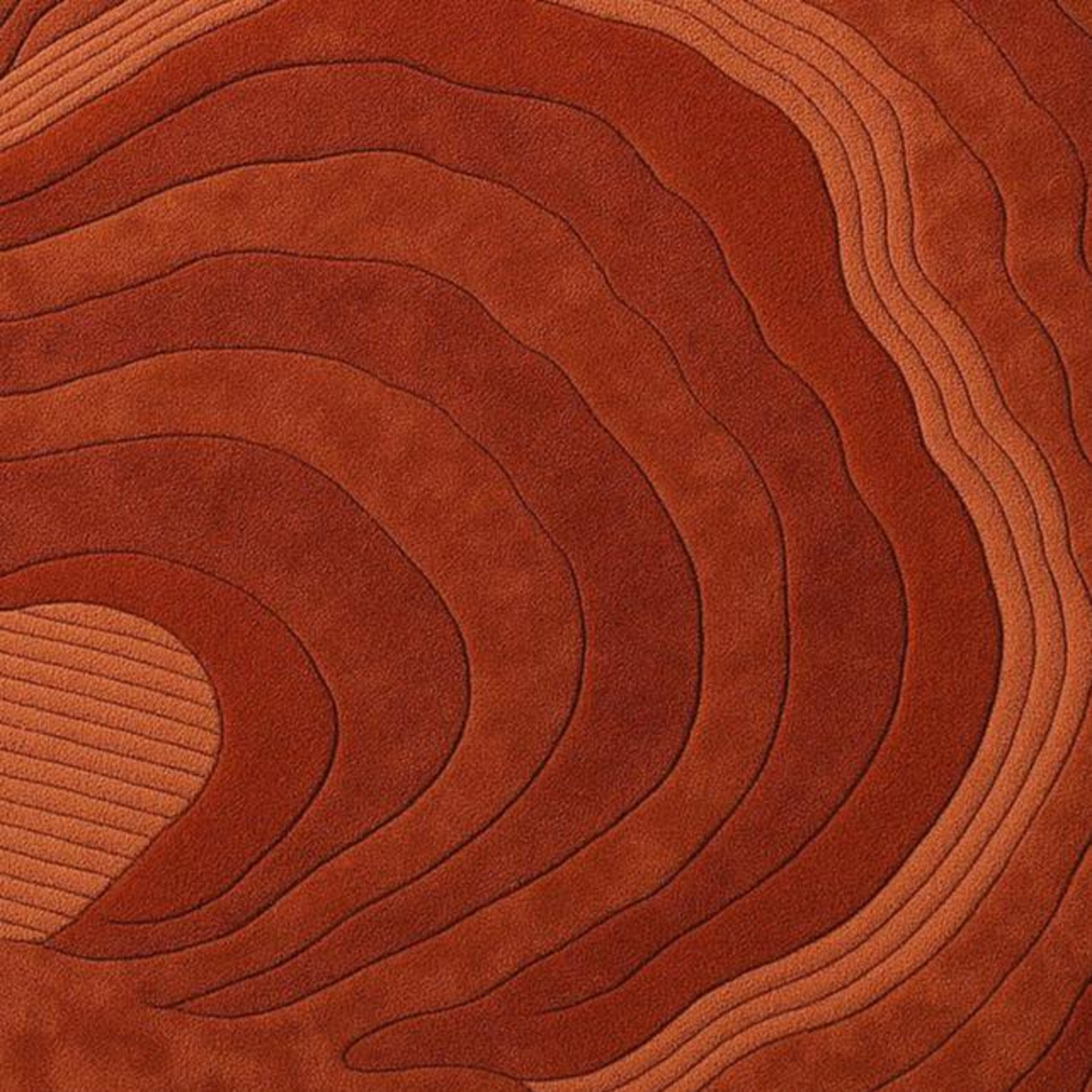 Abstract Hand-tufted Rug –freeform Amoeba Shape in Earthy Rust Tones ...