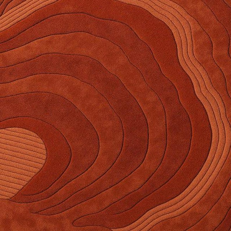 Abstract Hand-tufted Rug –freeform Amoeba Shape in Earthy Rust Tones ...