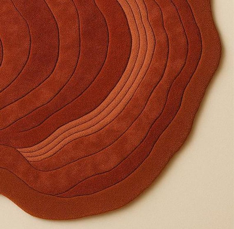 Abstract Hand-tufted Rug –freeform Amoeba Shape in Earthy Rust Tones ...