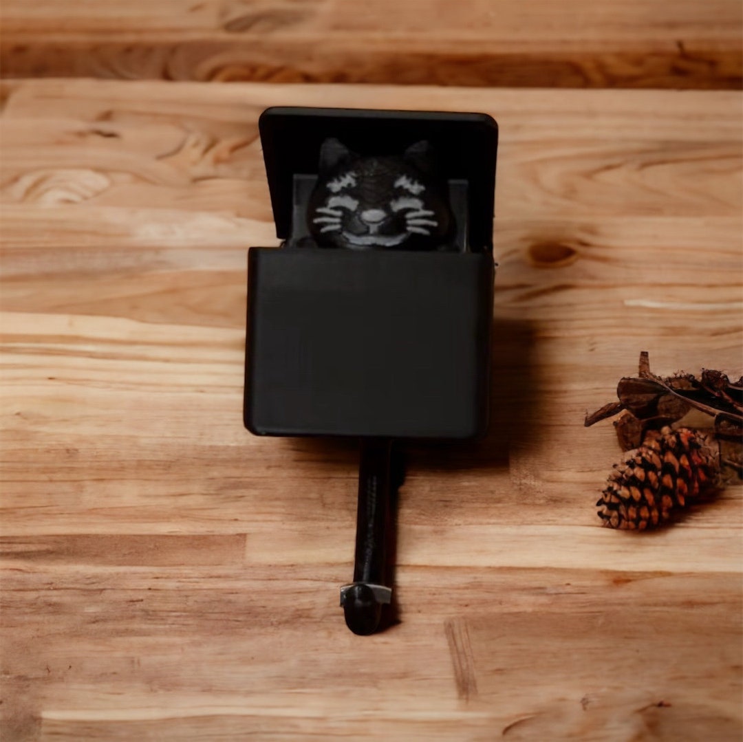 Cat in a Box Key Holder - Etsy