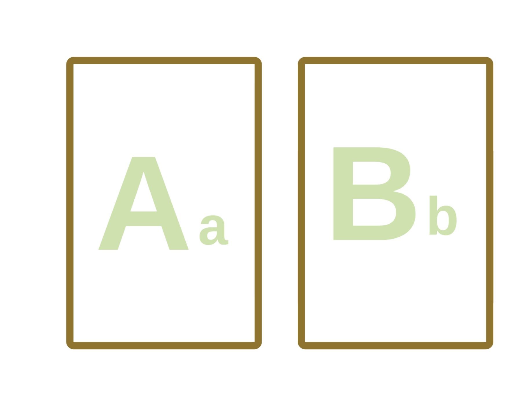 ABC Flashcards Alphabetical Flash Cards Fall Colors Easy - Etsy