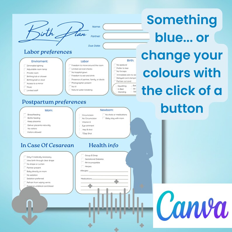 Birth Plan Template, Pregnancy Planner, Labor and Delivery, Natural Birth Plan, Doula, Pregnancy ...