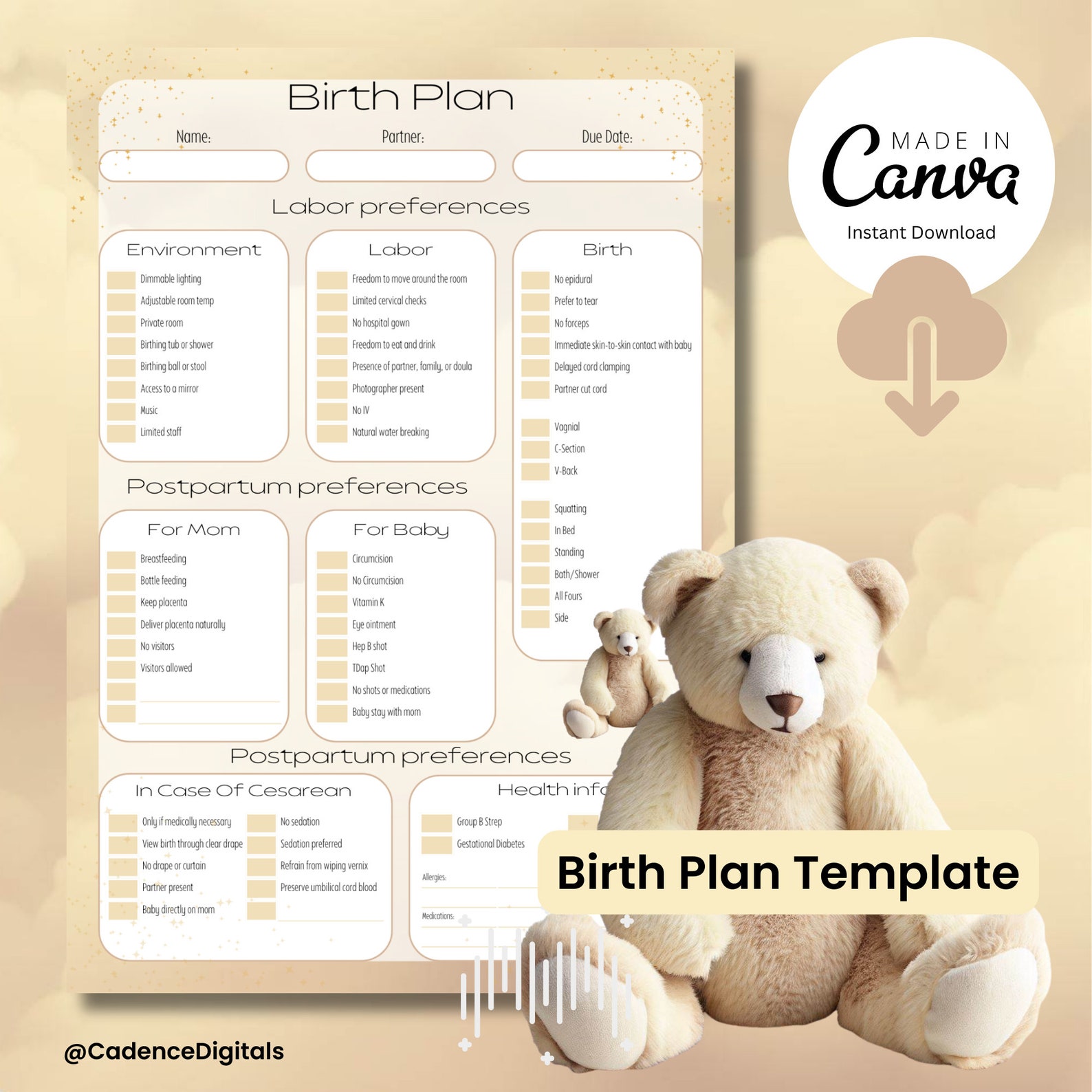 Teddy Birth Plan Template, Pregnancy Planner, Labor and Delivery ...