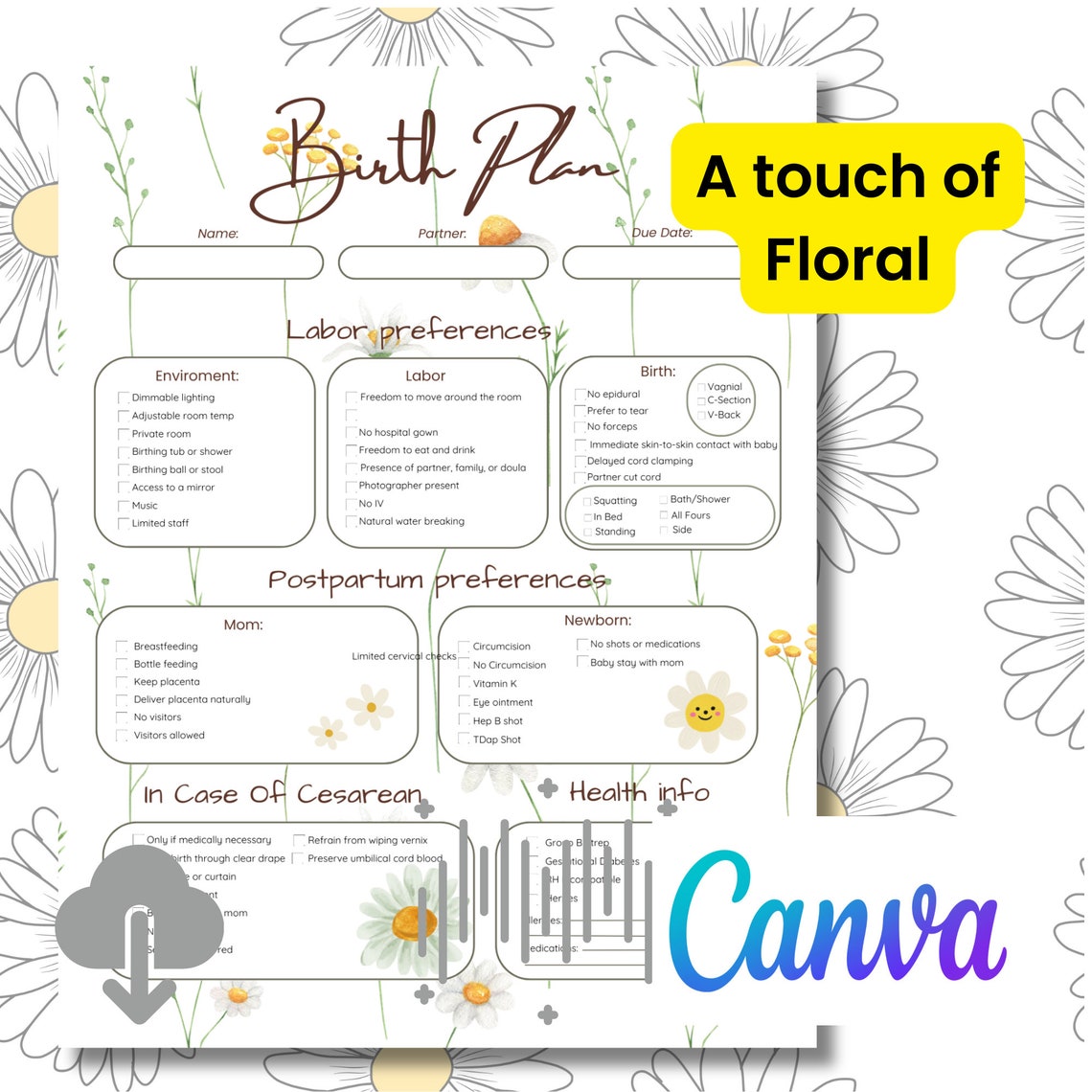 Birth Plan Template, Pregnancy Planner, Labor and Delivery, Natural ...