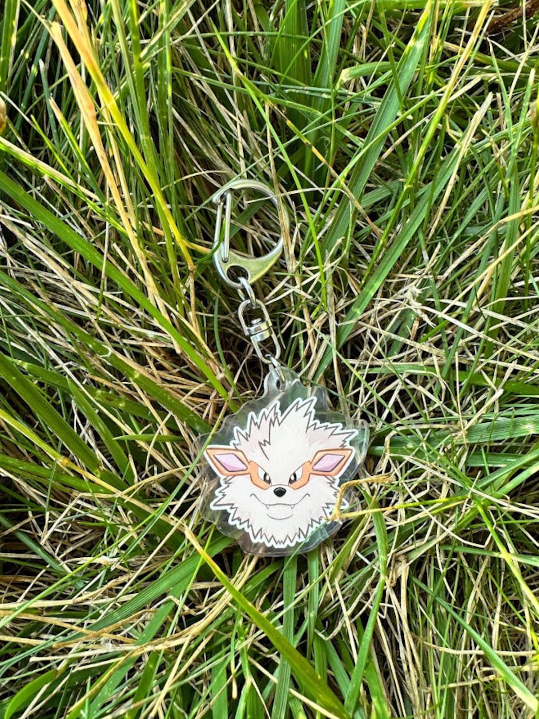 Arcanine Evolution Line Acrylic Charm - Etsy