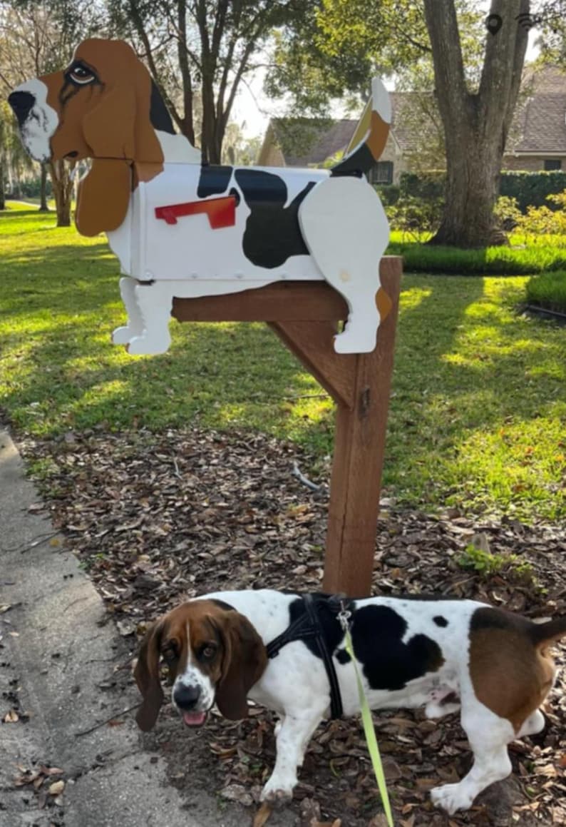 Handcrafted Basset Hound Mailbox – Unique Dog Lover Gift - Dog Mailbox ...