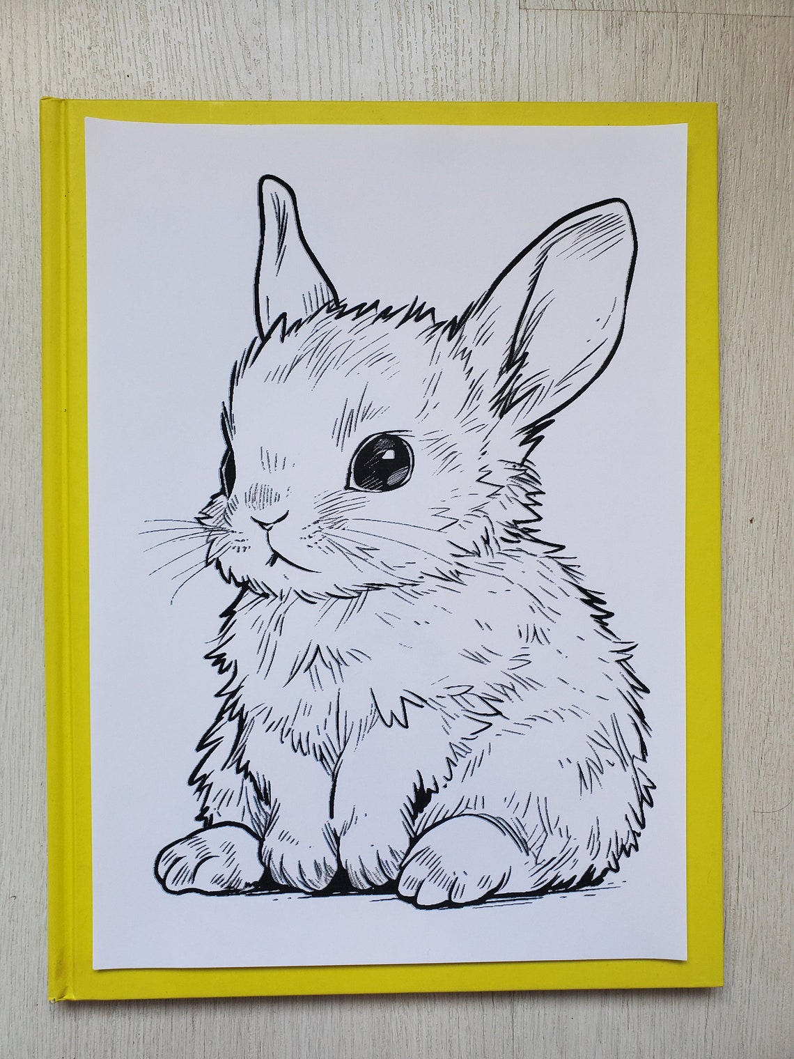 Coloring Page, for Child, Baby Rabbit - Etsy