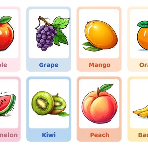 Fruits Flashcard + FREE Fruit Coloring Book! - Etsy