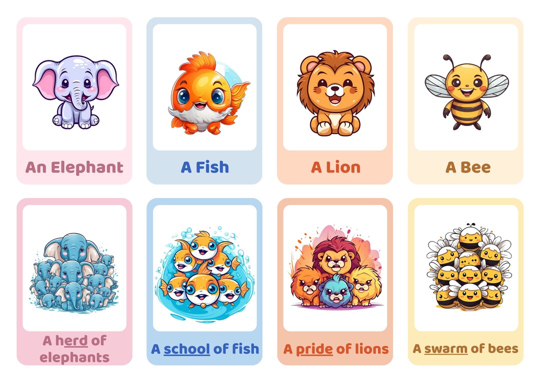 Animal Group Flashcards - Teach Kids About Collective Nouns! - Etsy