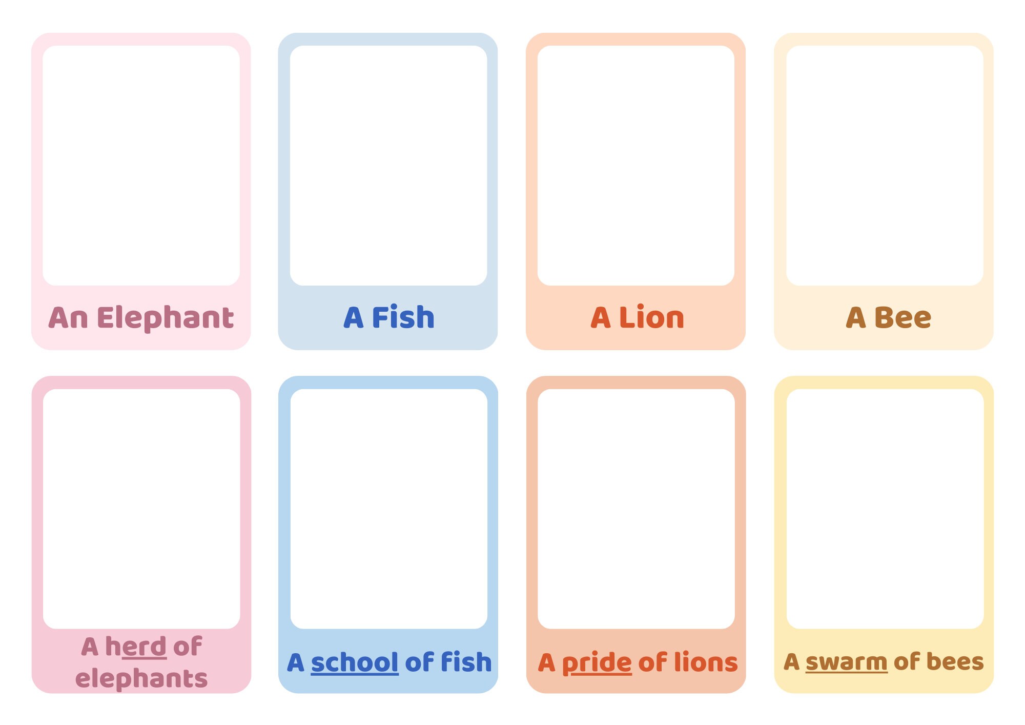 Animal Group Flashcards - Teach Kids About Collective Nouns! - Etsy