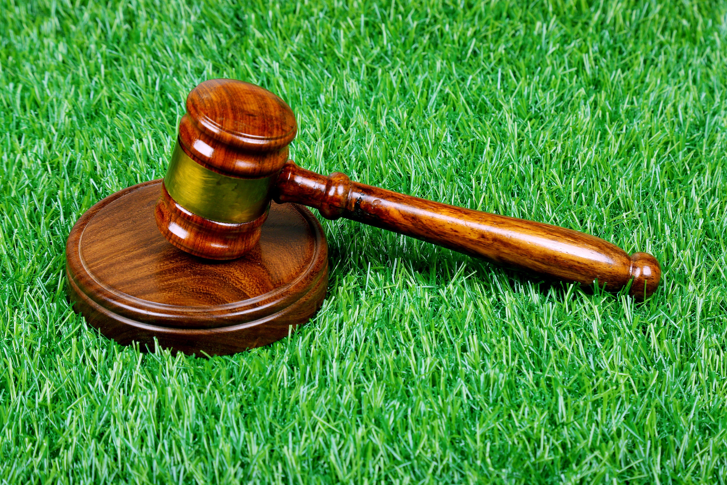 Mallet for Judge Rosewood Judge Mallet Engraved Auctioneers Mallet ...