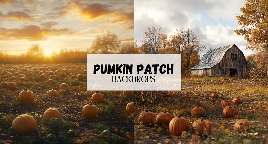 20 Pumpkin Patch Backdrops | 1:1 Ratio | Pumpkin Patch Backgrounds ...