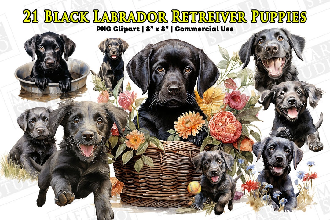 Black Labrador Retriever Clipart, Dog Clipart, Dog PNG, Watercolor Dog ...