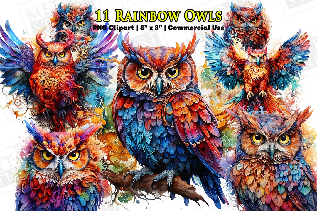 Rainbow Owl Watercolor Clipart, Owl Clipart PNG, Psychedelic Owl ...