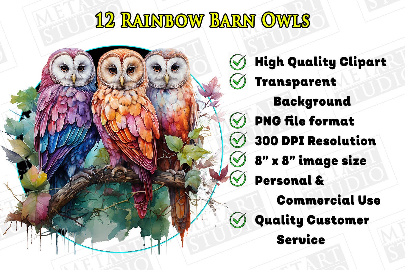 Rainbow Barn Owl Watercolor Clipart, Owl Clipart PNG, Psychedelic Owl ...