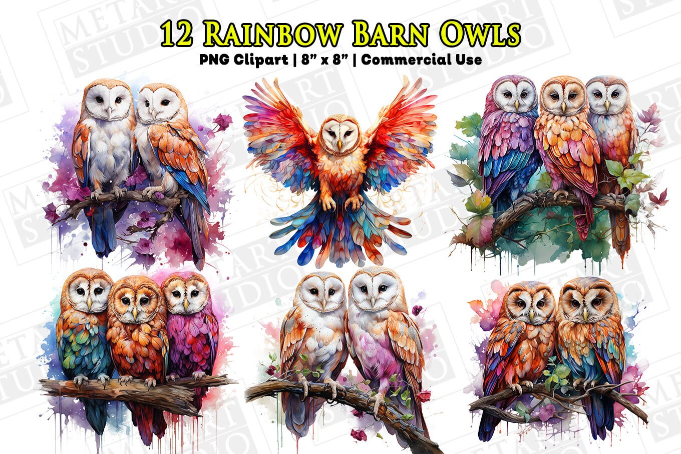Rainbow Barn Owl Watercolor Clipart, Owl Clipart PNG, Psychedelic Owl ...