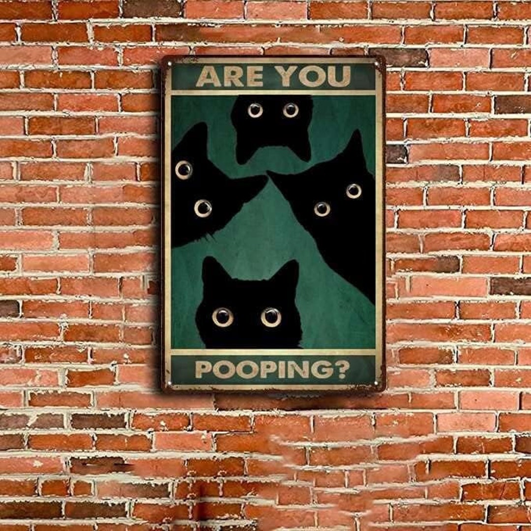 Retro Tin Sign Vintage Are You Pooping Restroom Wall Toilet - Etsy