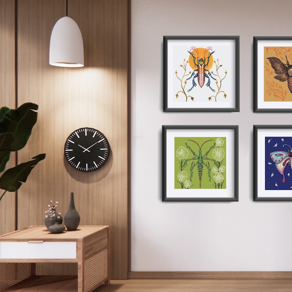 Insect Collection - Etsy