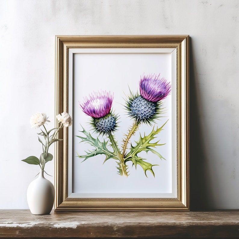 Thistle Clipart Watercolor Purple Thistle Art Botanical Wall Art ...
