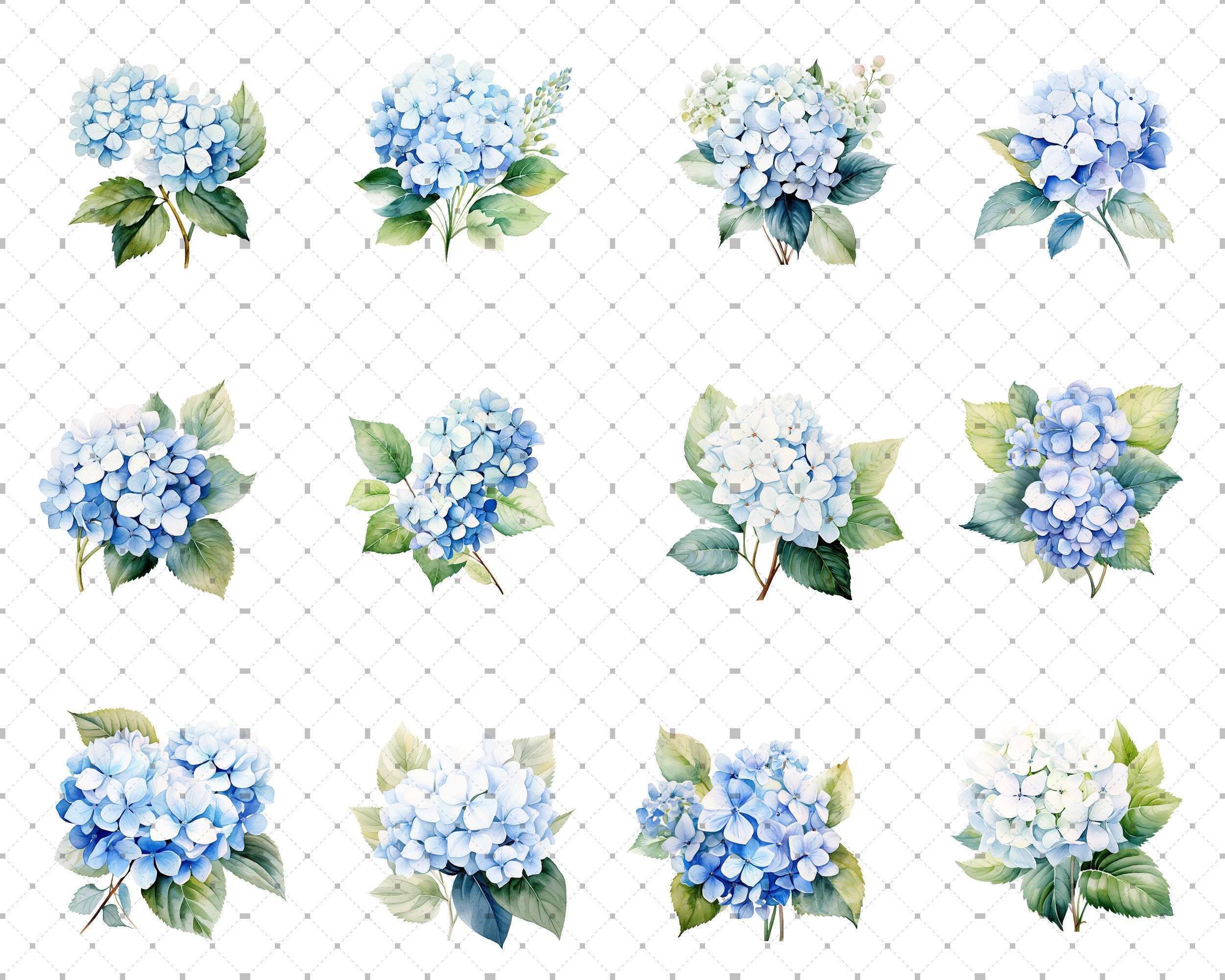 Watercolor Hydrangea Flowers Clipart - Floral Spring Bouquets in PNG ...