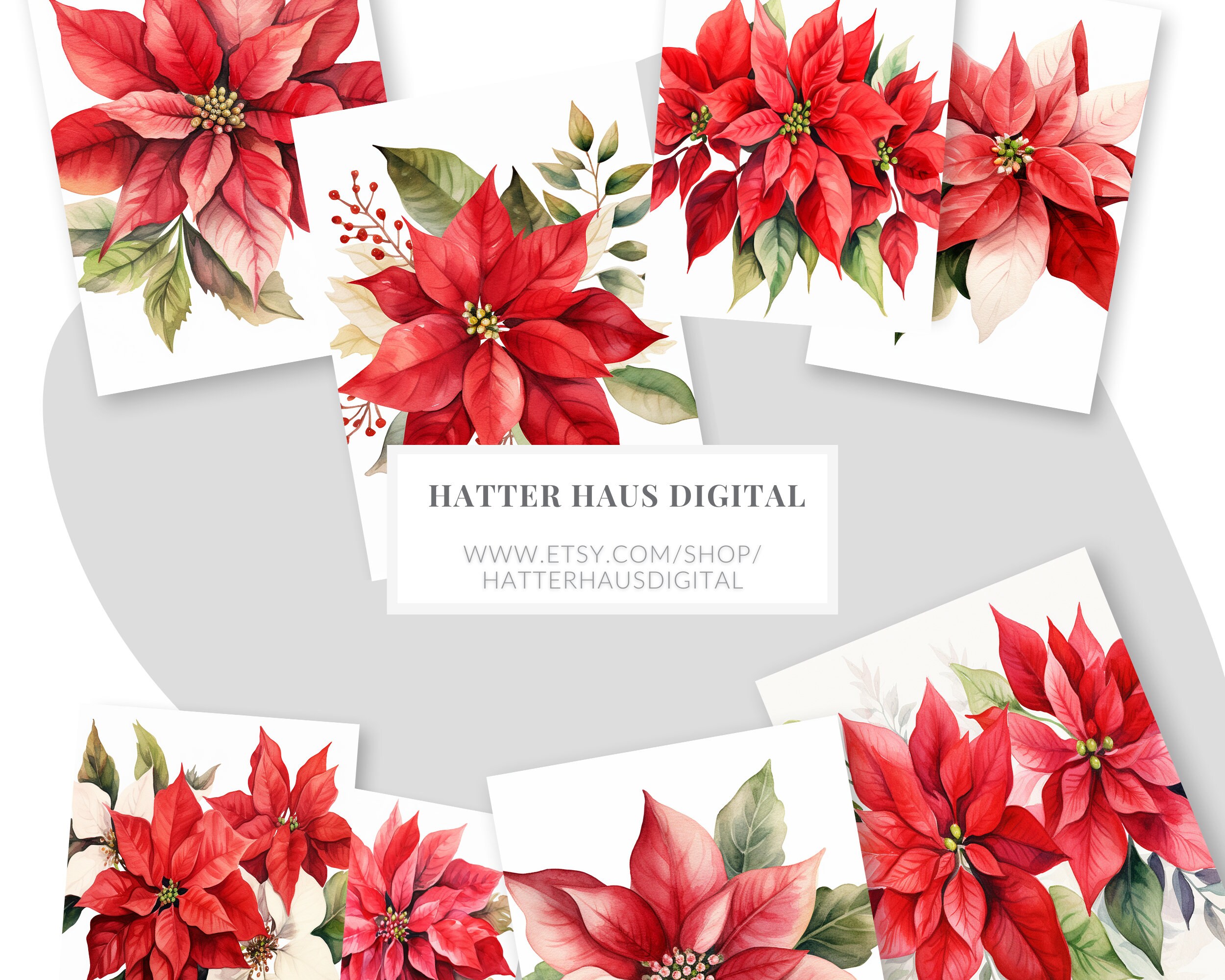 Christmas Poinsettia Clipart Watercolor Red Flowers Clipart Bundle ...