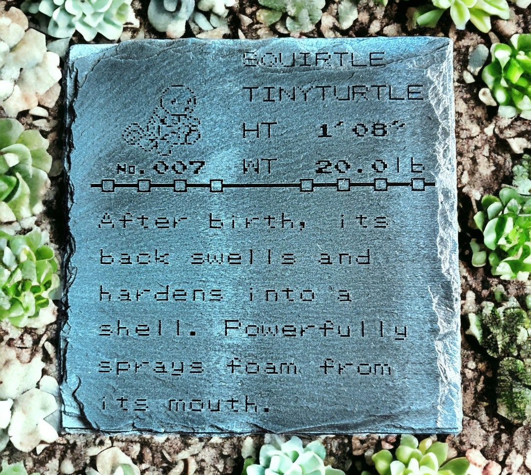 Pokémon Pokédex Squirtle Slate Coaster - Etsy UK