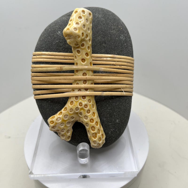Cane Wrapped Rocks - Etsy