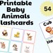 Printable Animal Babies for Kids, Learn Animal Names, Flashcards ...