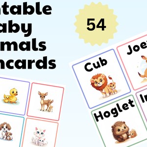 Printable Animal Babies for Kids Learn Animal Names - Etsy