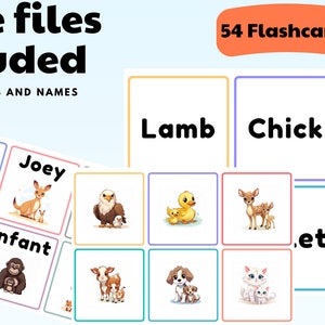 Printable Animal Babies for Kids, Learn Animal Names, Flashcards ...
