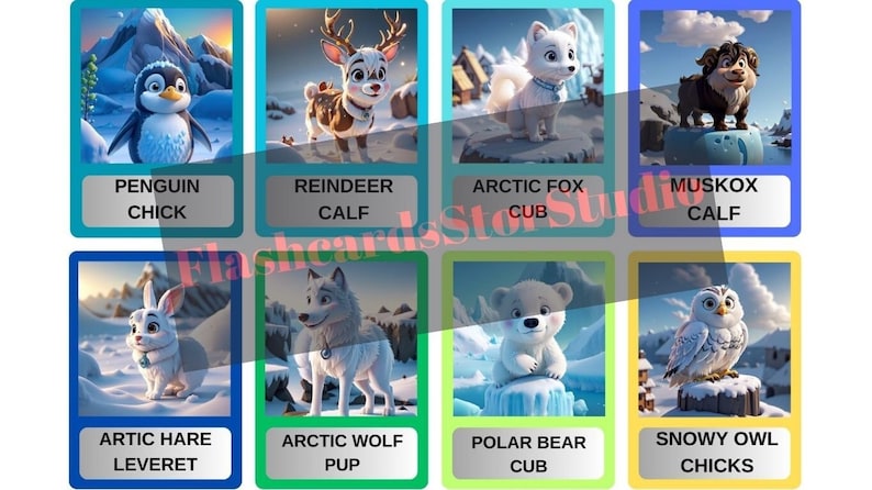 Arctic Animals:adorable Animal Flashcards for Children - Etsy