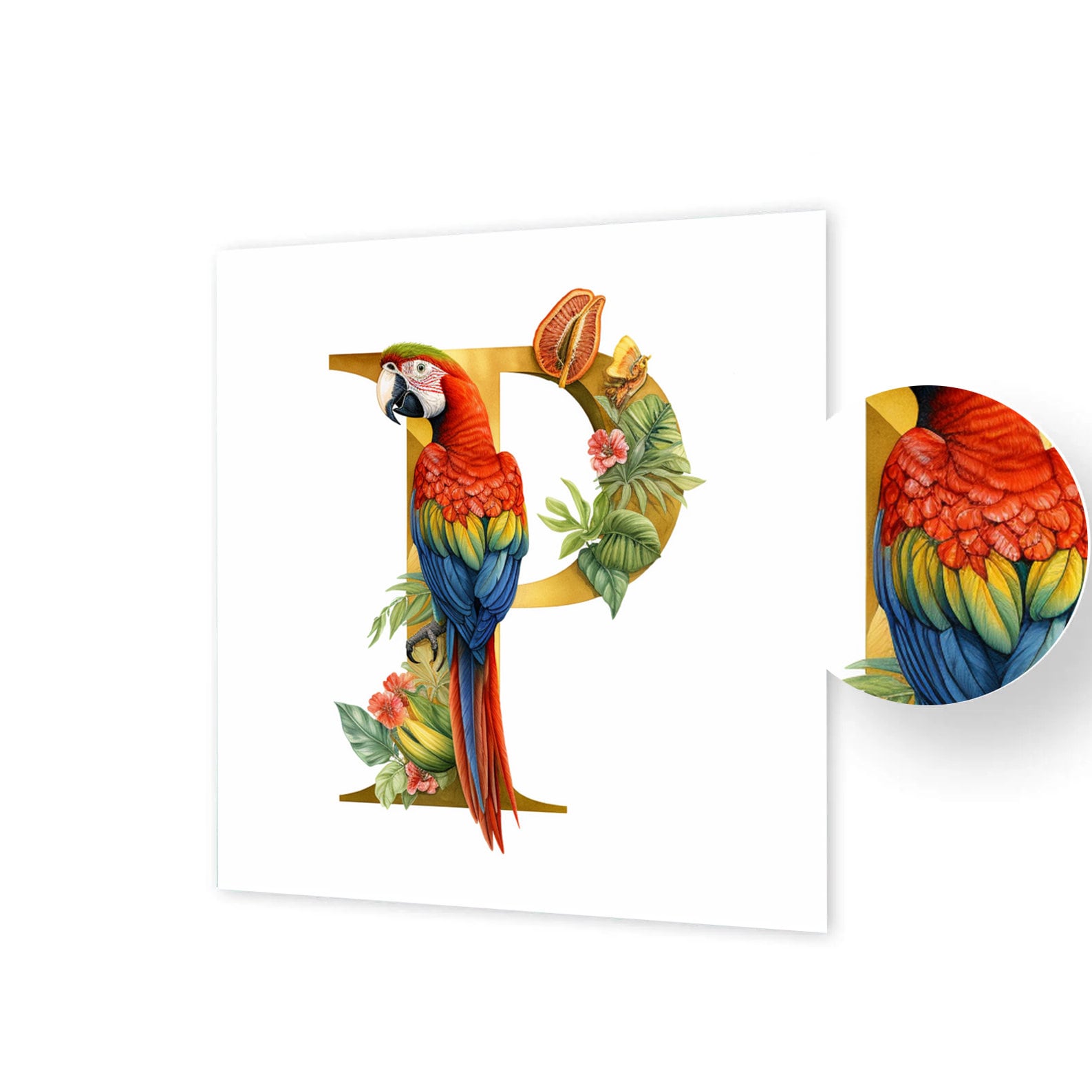 P is for Parrot - Classic Poster - Etsy