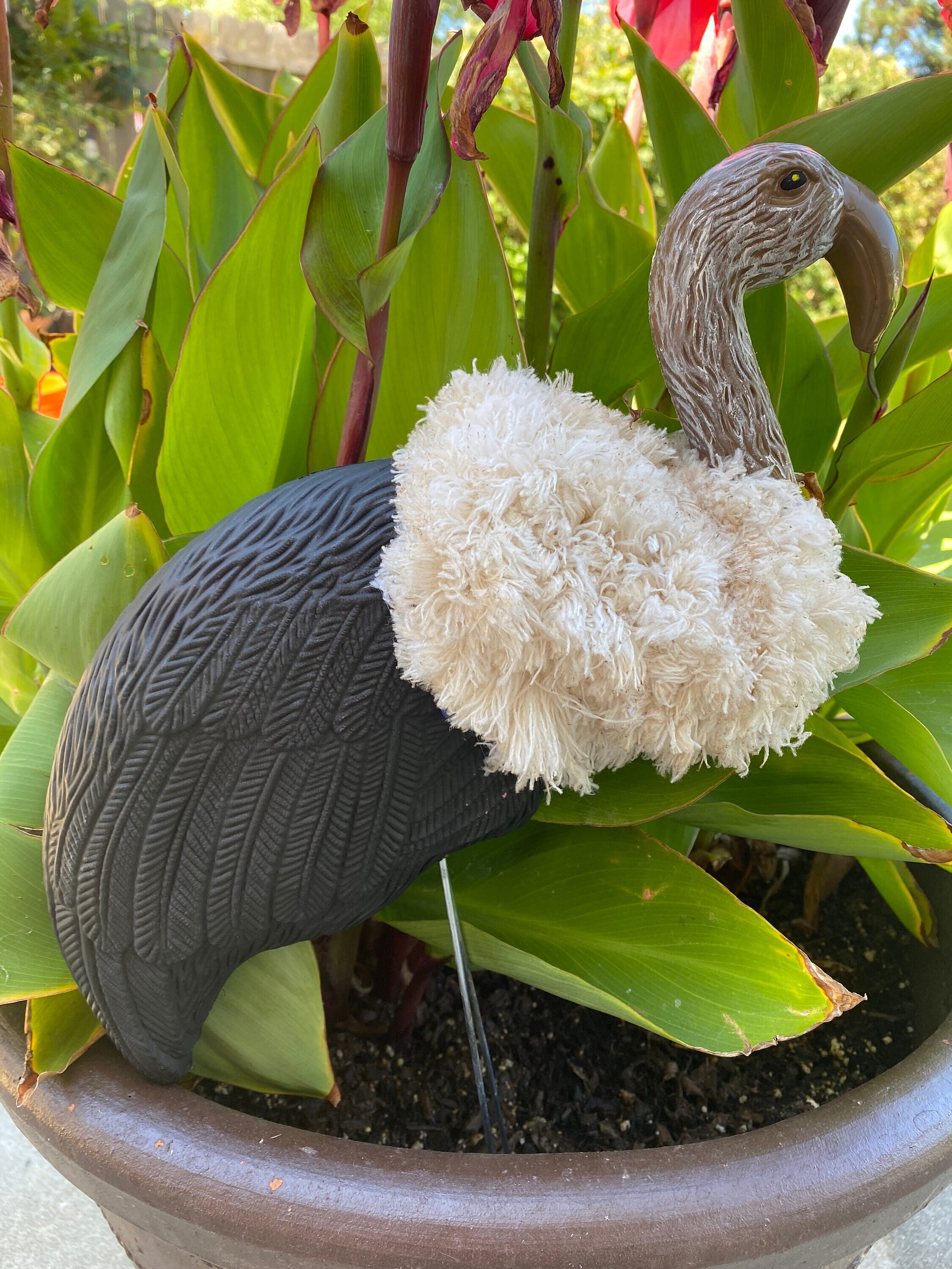 Spooky Season Halloween Haunted Mansion Buzzards the Seasons Answer to ...