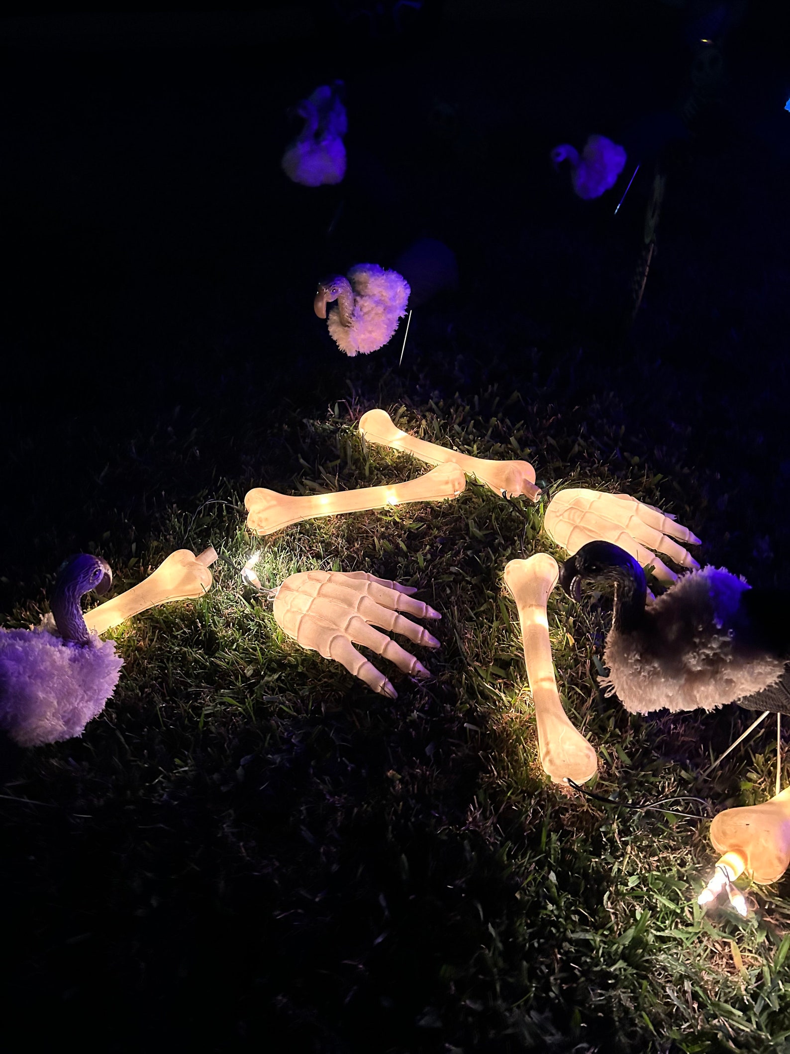 Spooky Season Halloween Haunted Mansion Buzzards the Seasons Answer to ...