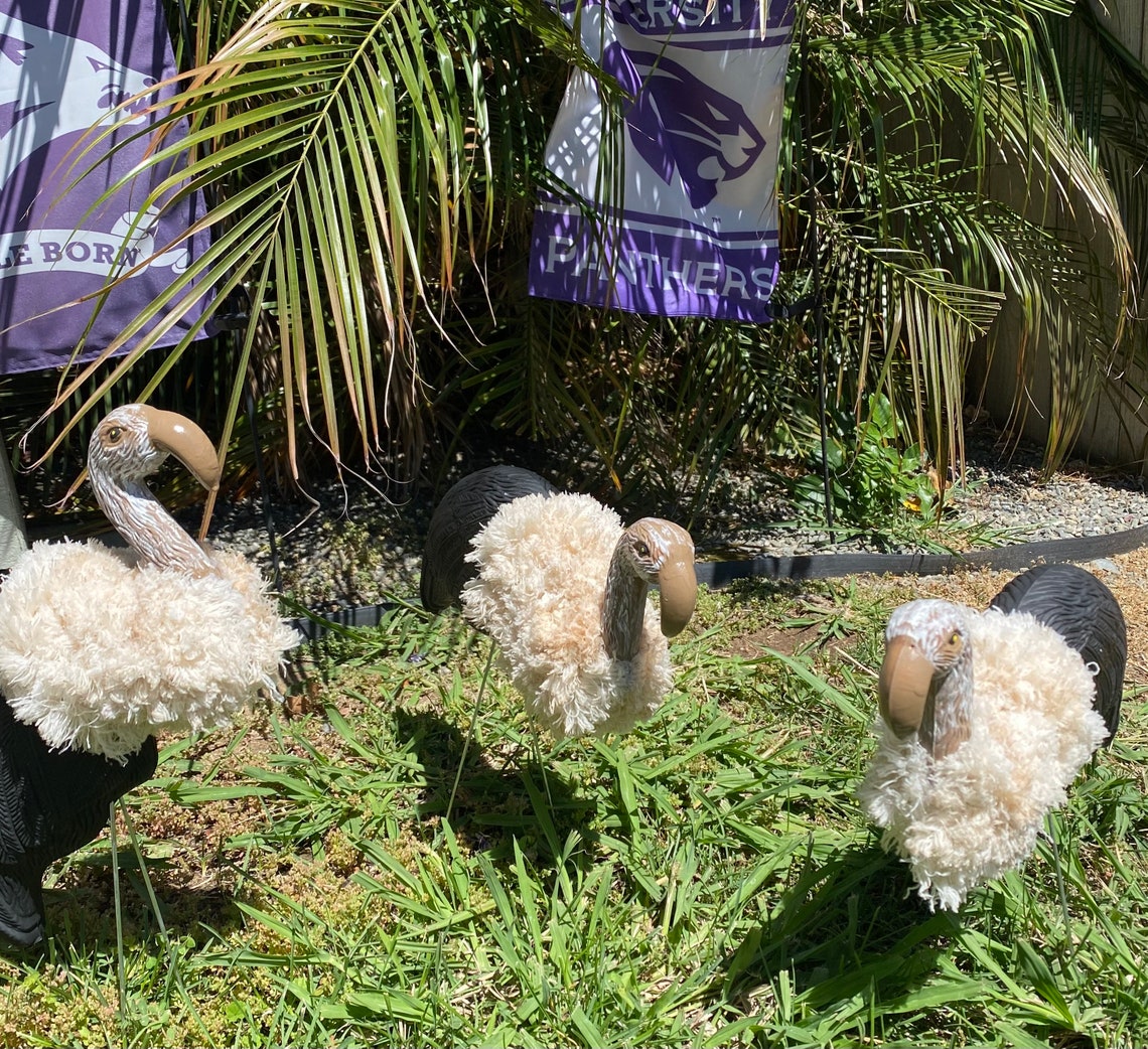 Spooky Season Halloween Haunted Mansion Buzzards the Seasons Answer to ...