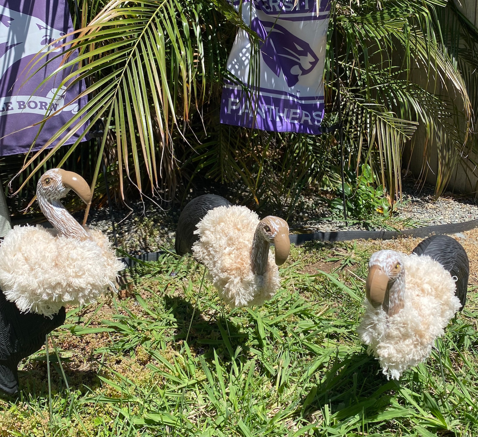 Spooky Season Halloween Haunted Mansion Buzzards the Seasons Answer to ...