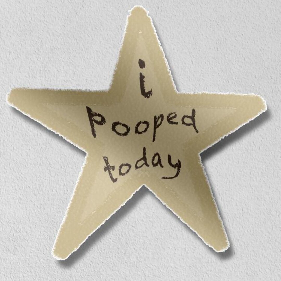 I Pooped Today Sticker | Potty Decal | Gold Star | I Succeeded Vinyl ...