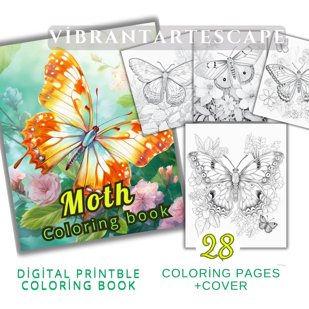 Moth Coloring Book-butterflies Coloring Pages-adults/kids Coloring ...
