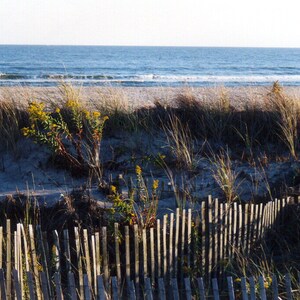 Beach - Etsy