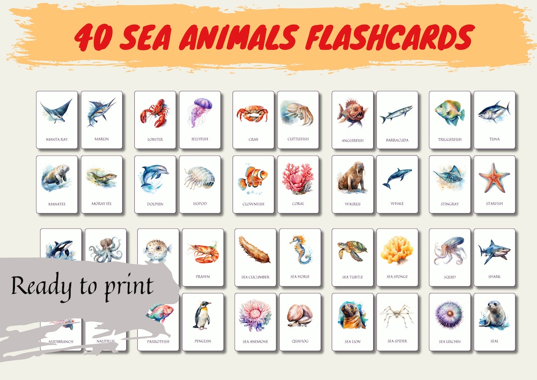 40 Sea Animals Flashcards Montessori Flashcards Ocean - Etsy Australia